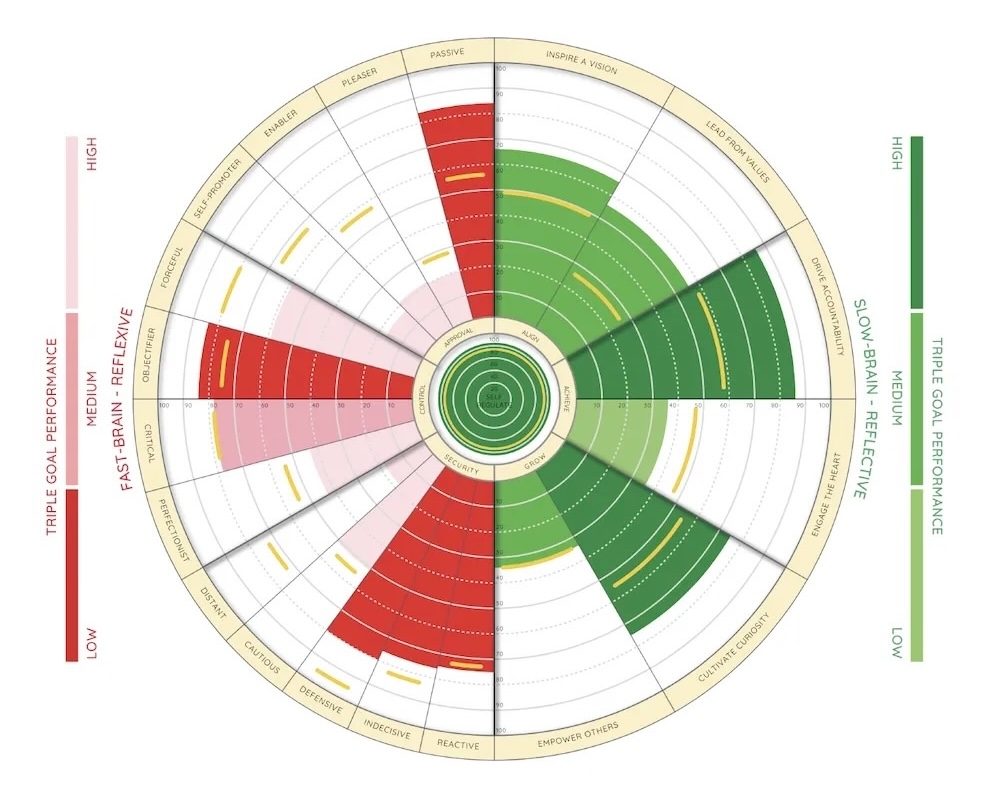 The Leadership Growth Profile by TripleGoal